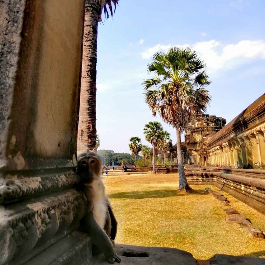 Private Angkor Wat mix temples photo tour [views from the top - guided ...