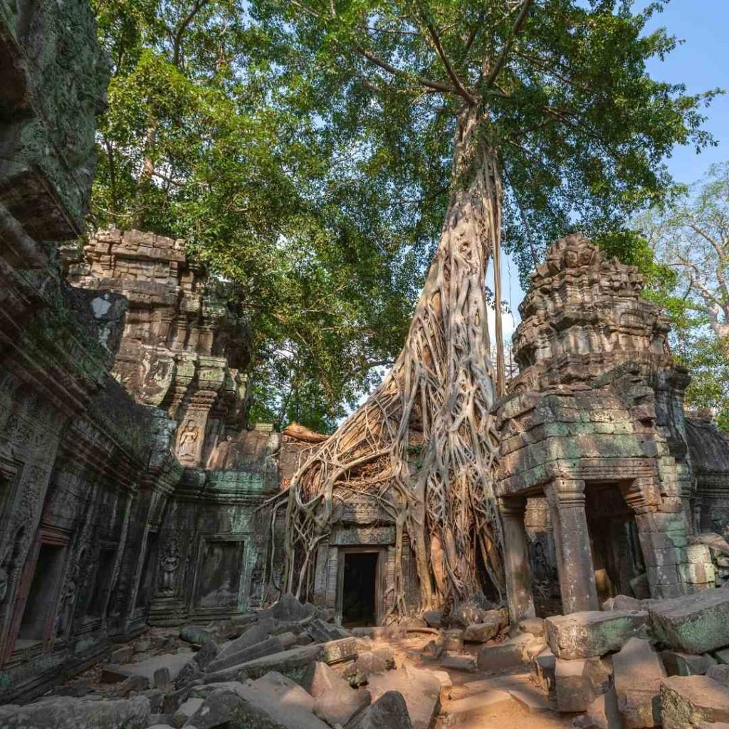 Private Angkor Wat Sunrise tour - Private Angkor Sunrise Guided Tour