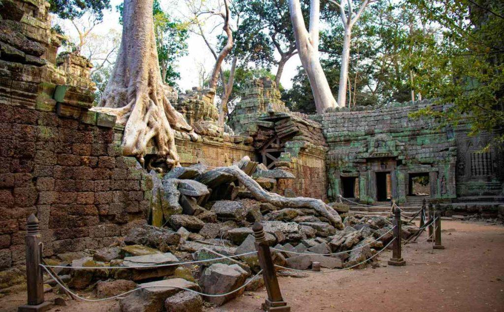 Unraveling the Mysteries of Ta Prohm: A Journey into Siem Reap's Jungle ...