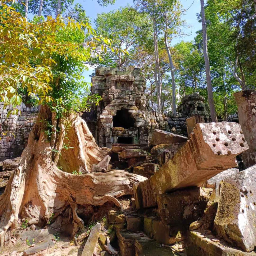 The Private Ta Nei Temple Tour - Become the First Explorer!