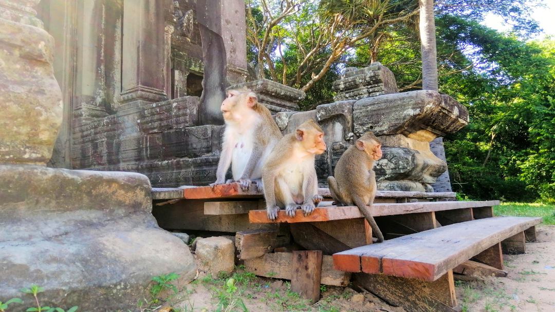 The Ultimate Angkor Wat Tourist Guide: 5 Best Temple Tours for 2025 ...
