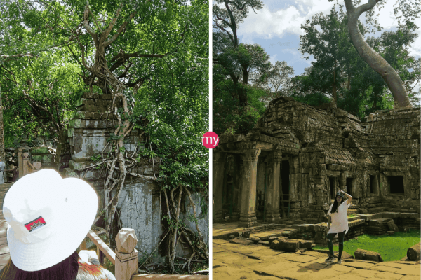 Ta Prohm Temple vs Bakong Temple vs Prasat Beng Mealea Comparison: The ...