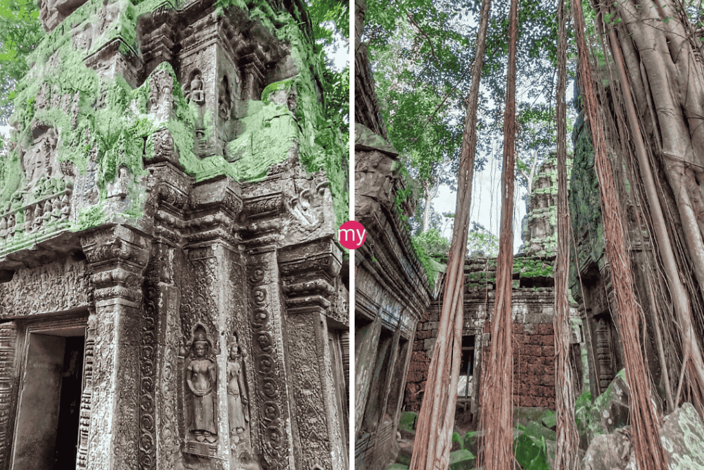Ta Prohm vs Bayon Temple: Which Angkor Icon Deserves Your Time ...